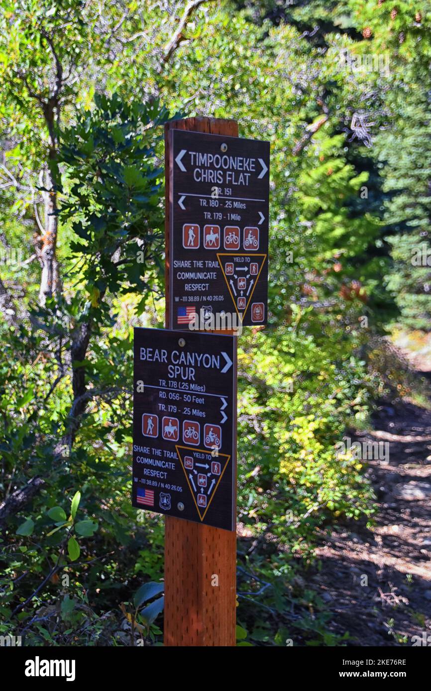 Hiking Trail Sign Bear Canyon Trail by Timpanogos, Wasatch Range Rocky ...