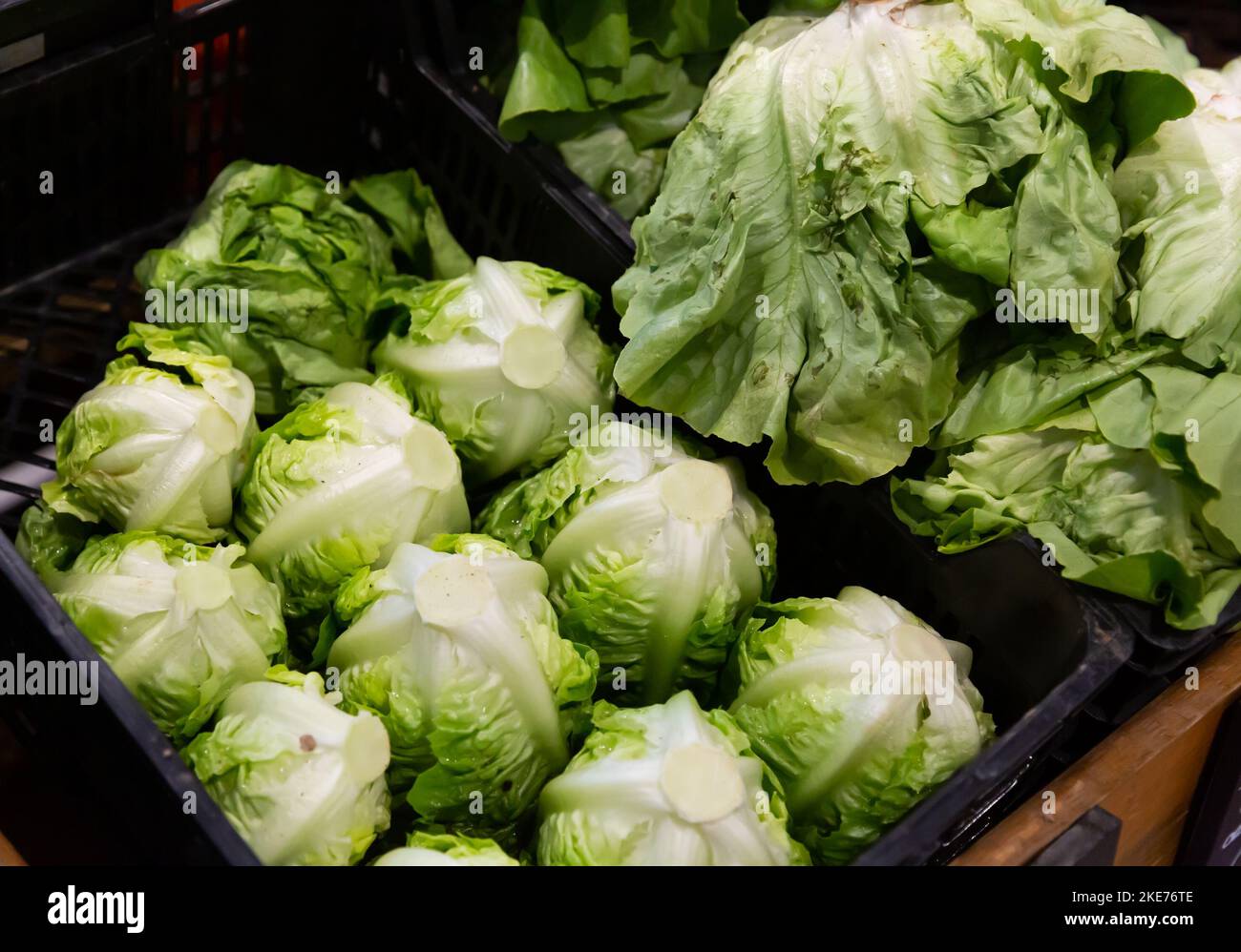Fresh greens in supermarket Stock Photo - Alamy