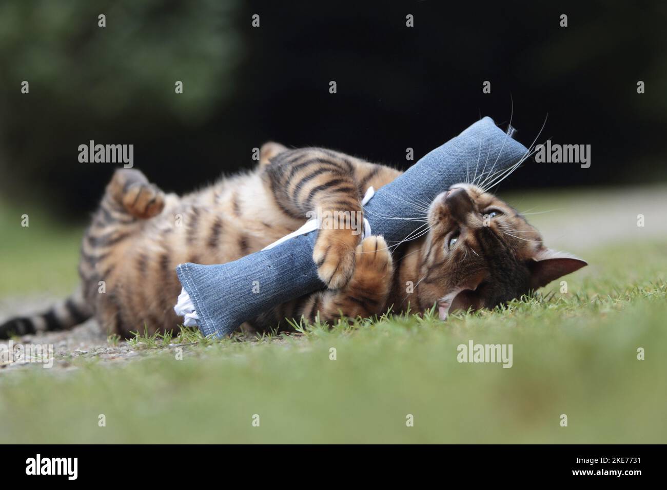 Lateral position pillow hi-res stock photography and images - Alamy