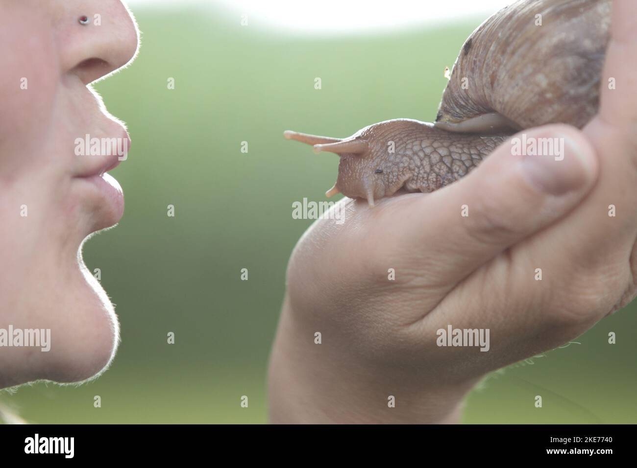 Child with African giant snail Stock Photo - Alamy
