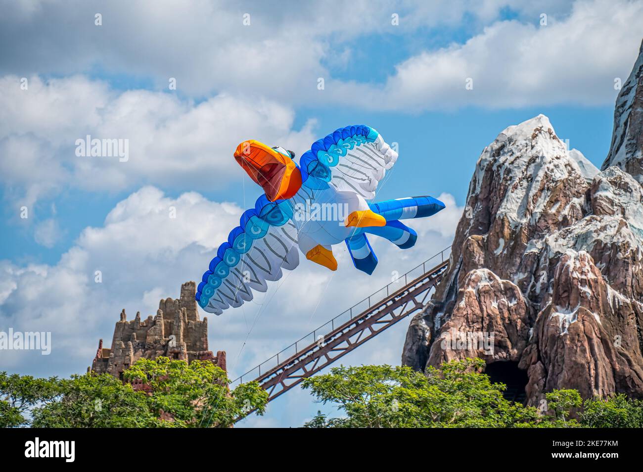 Parrot thinking hi-res stock photography and images - Alamy