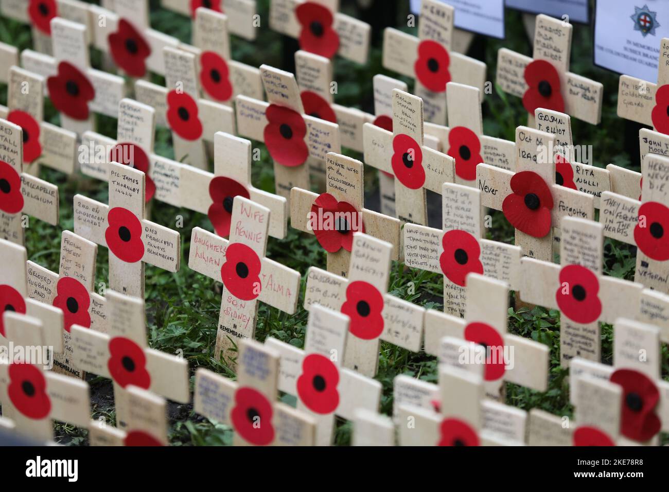 Crosses with poppies laid by Poppy Factory at the Field of Remembrance ...