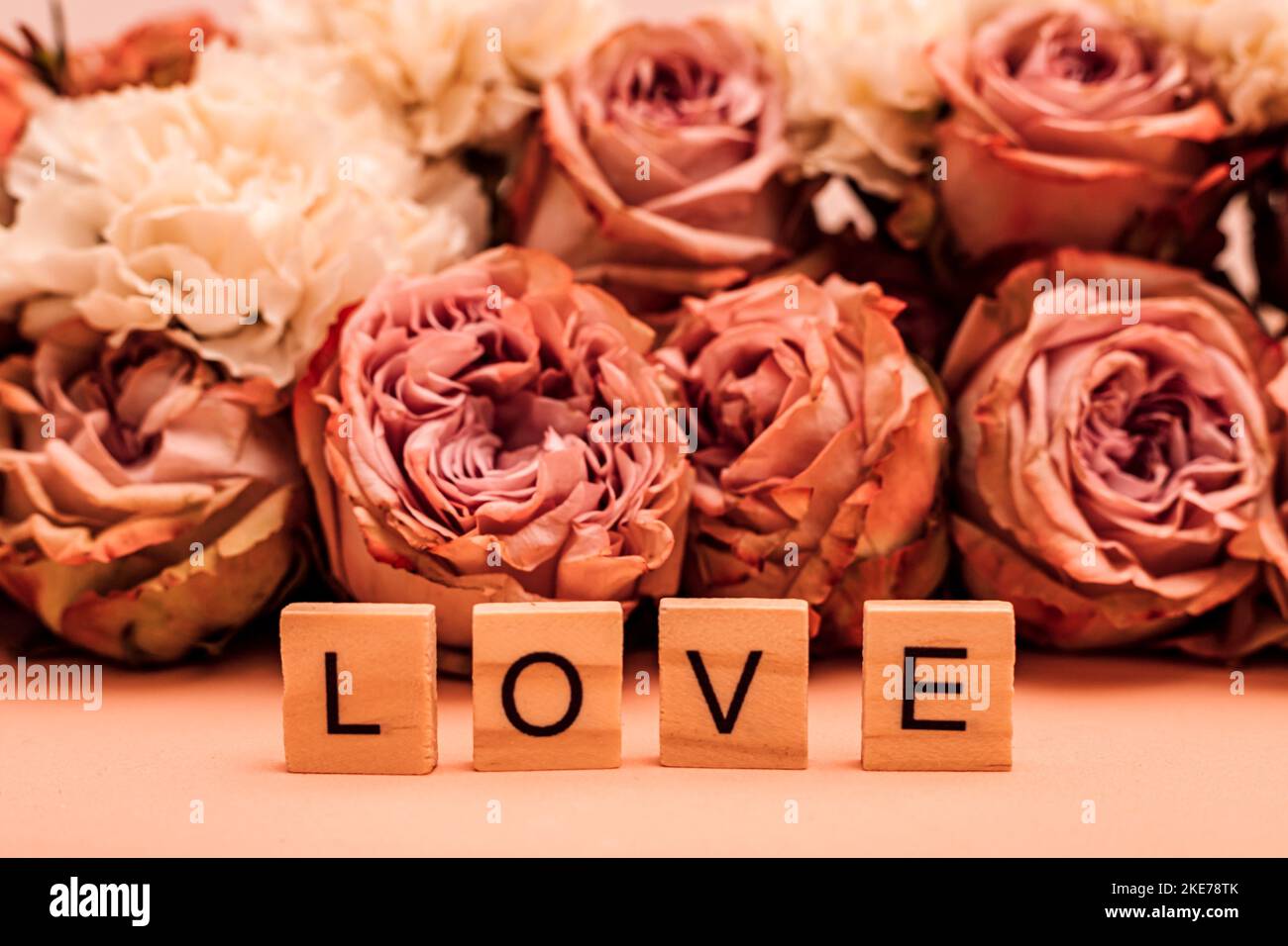 Orange roses are laid out on a monochromatic background. Spring Stock ...