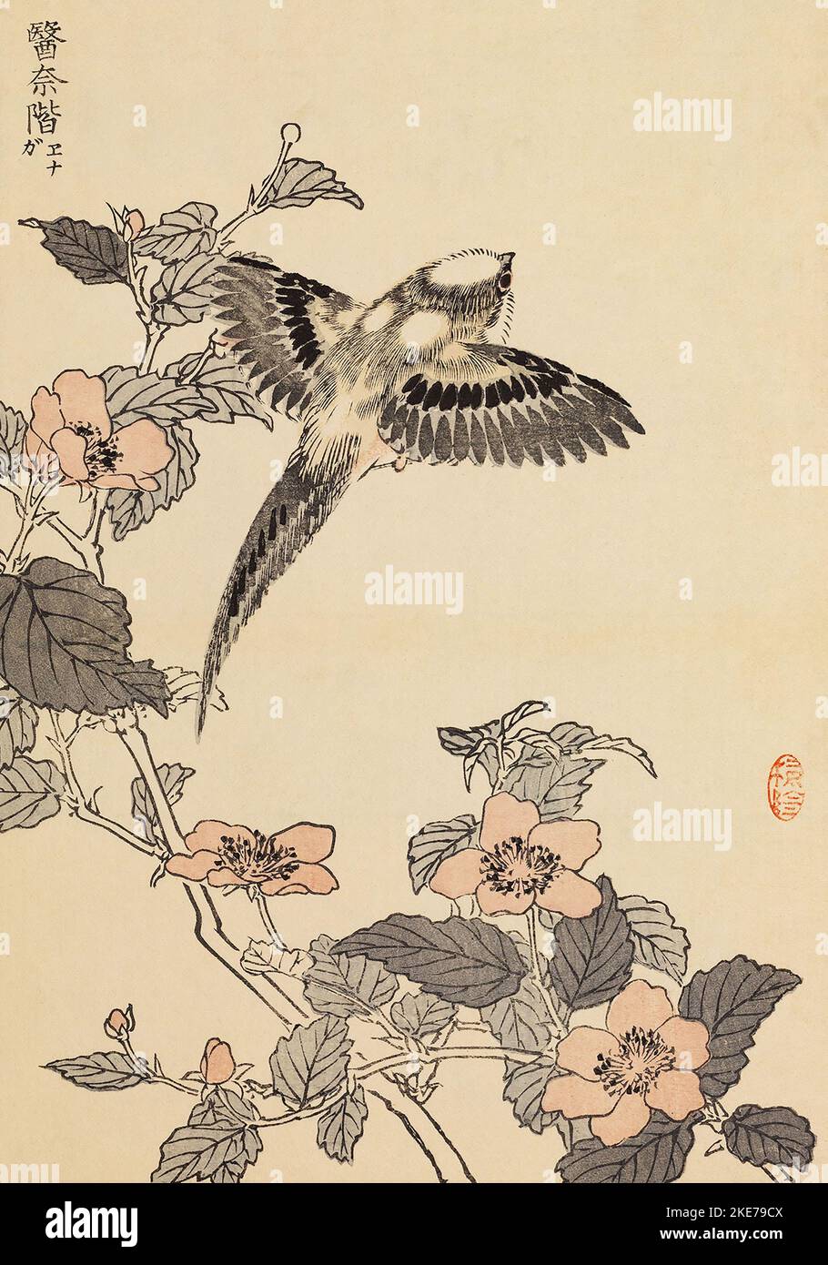 A vertical vintage Japanese plate of Kono Bairei One Hundred Birds ...