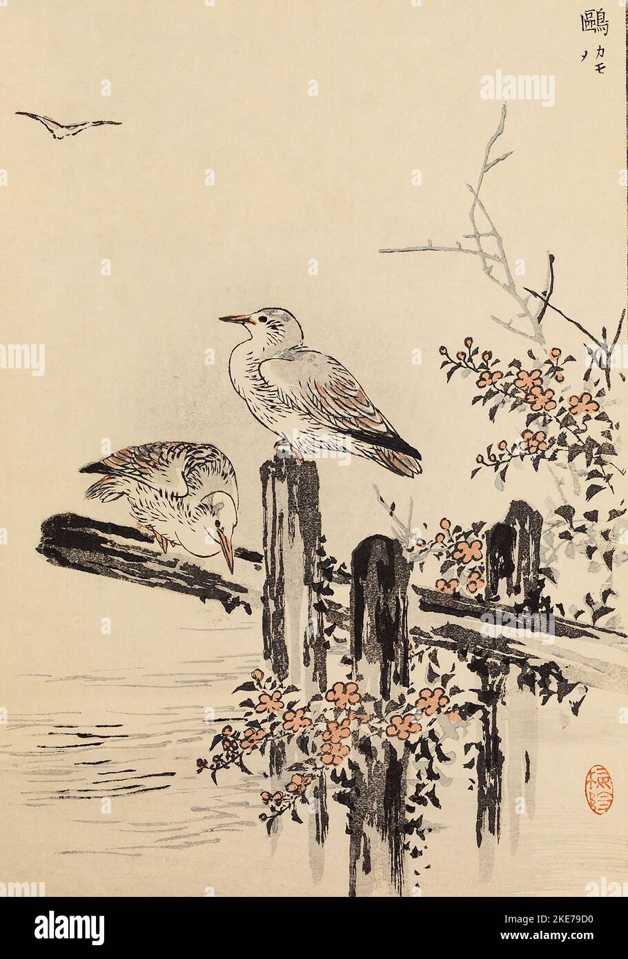 A vertical vintage Japanese plate of Kono Bairei One Hundred Birds ...