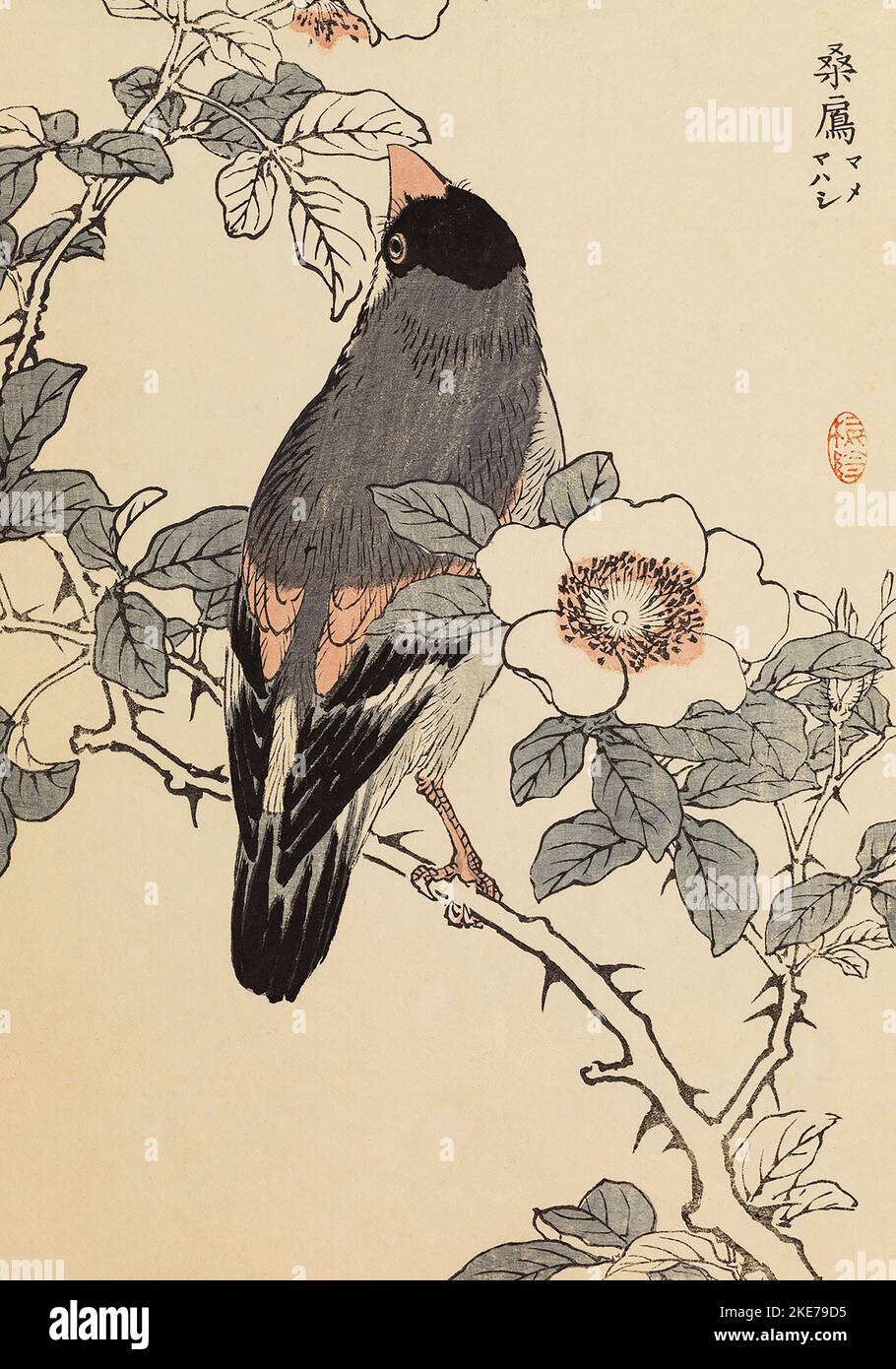 A vertical vintage Japanese plate of Kono Bairei One Hundred Birds ...