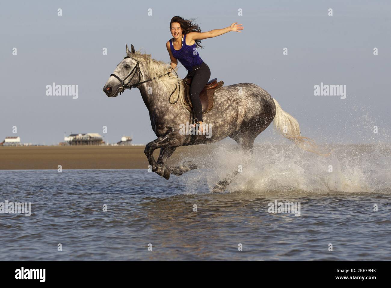 woman and Lipizzaner-Cross in the water Stock Photo - Alamy