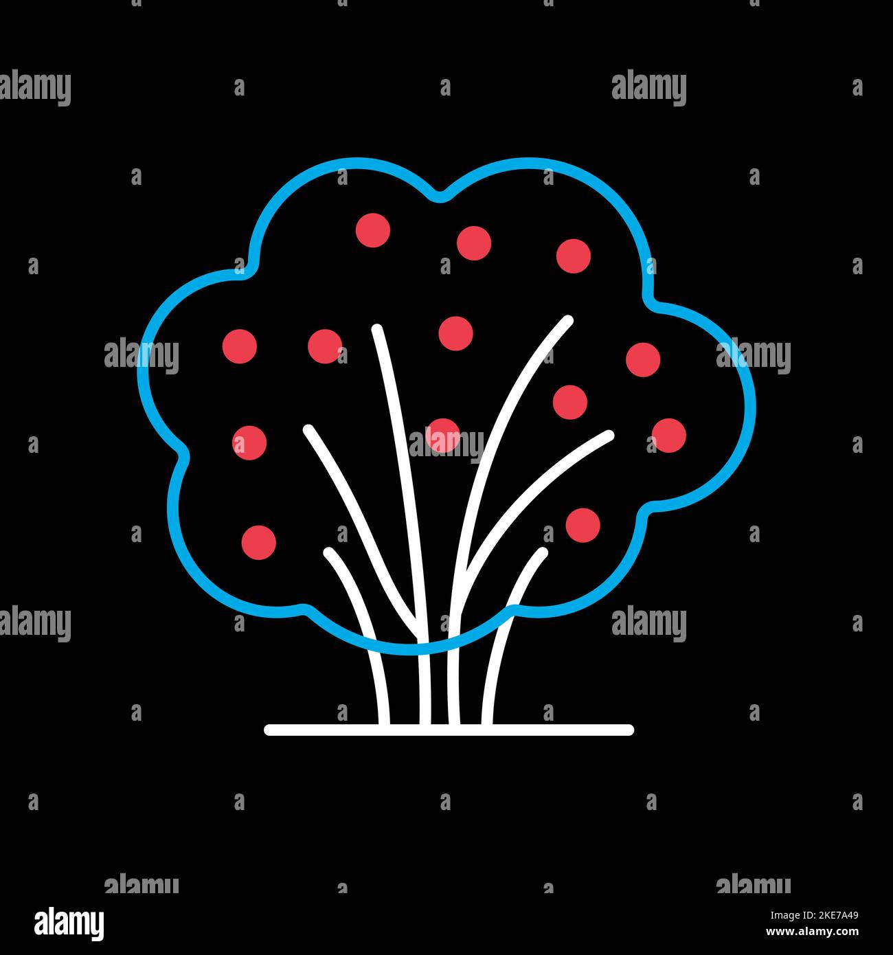 Blueberry on shrub Stock Vector Images - Alamy