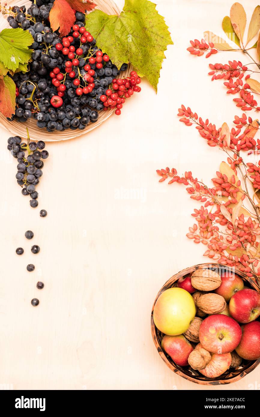 Autumn composition of fruits, berries and nuts on a light background ...