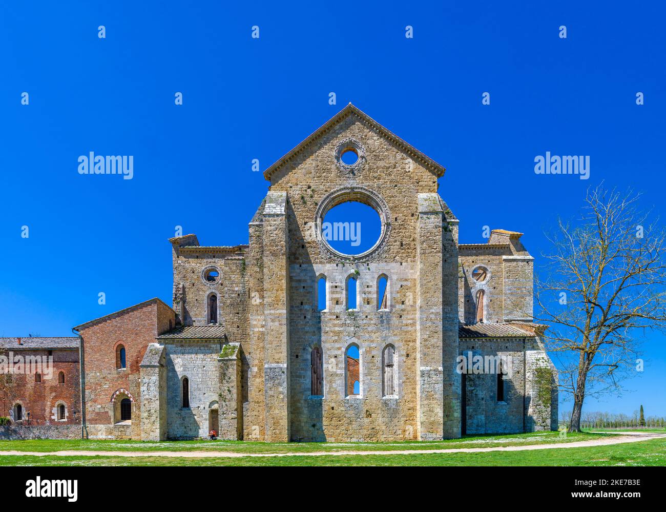 Exterior view of the apse of the splendid roofless Abbey of Saint ...