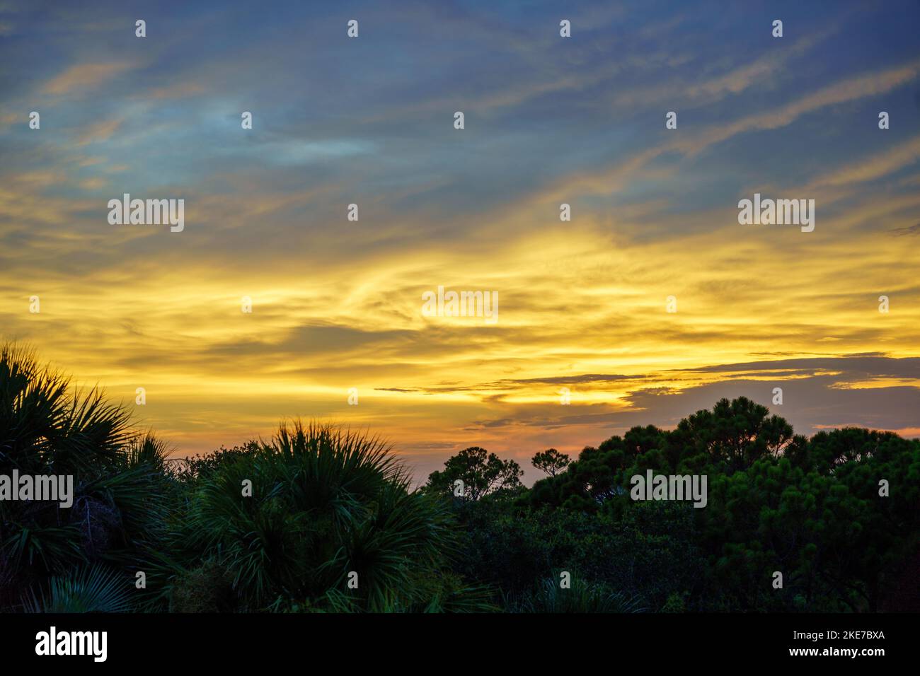 Saint george island florida hi-res stock photography and images - Alamy