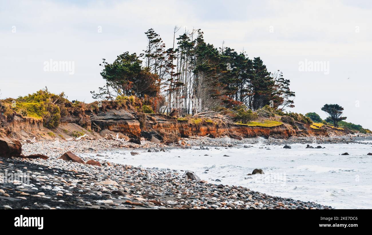 A beautiful view of the beach shore with green trees under a cloudy sky ...