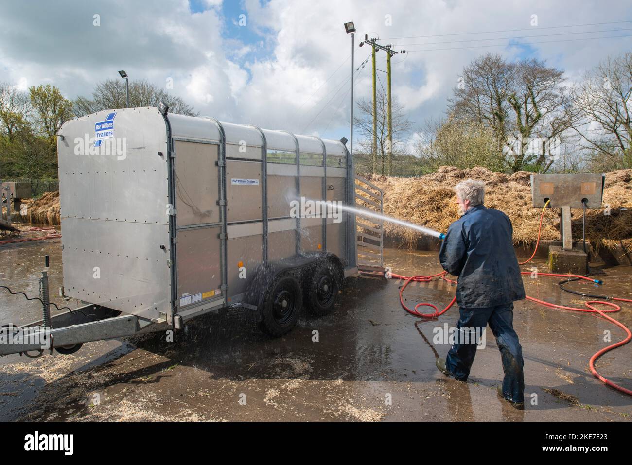 Washing down and disinfecting trailers used to transport livestock at ...