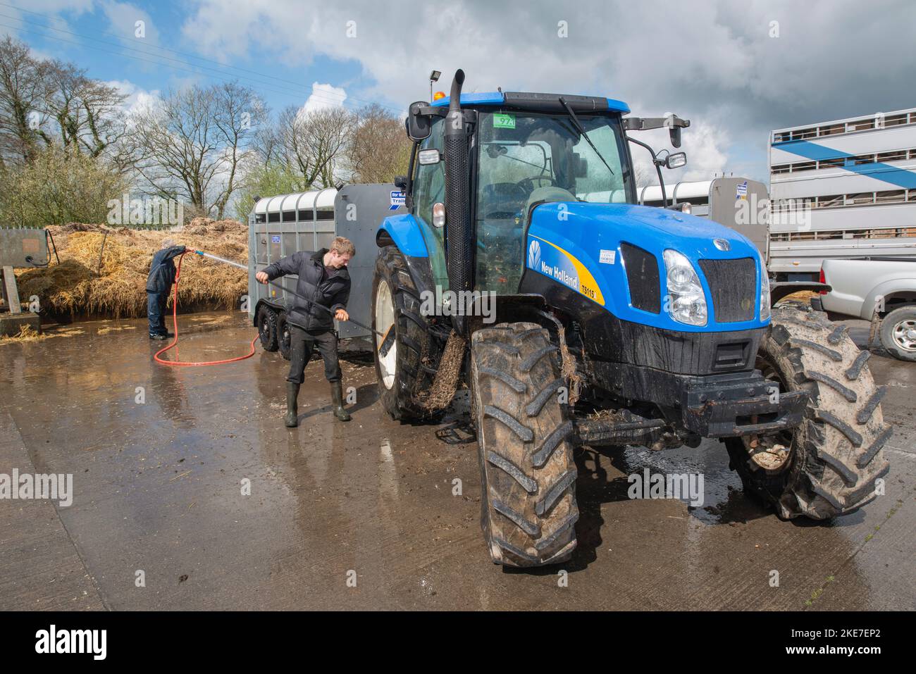 Washing down and disinfecting trailers used to transport livestock at ...