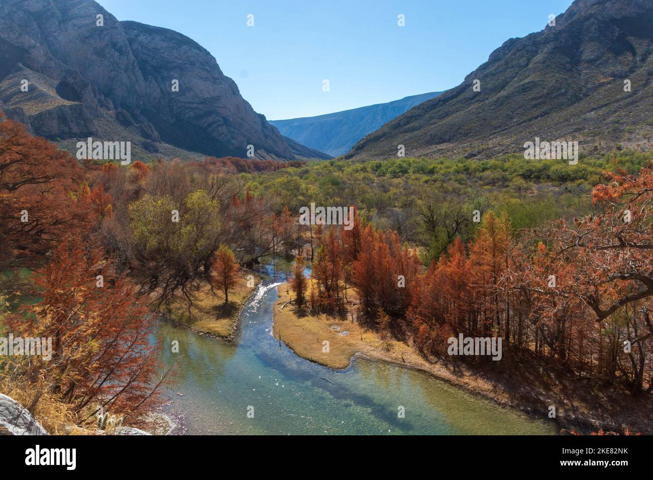 A drone shot of a water stream surrounded by fall trees with mountains ...