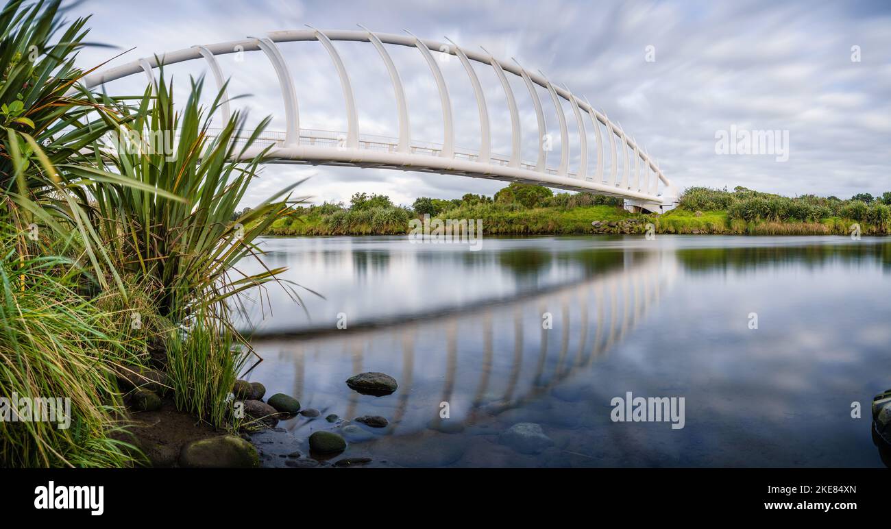 A beautiful view of the Te Rewa Rewa Bridge under a cloudy blue sky in ...