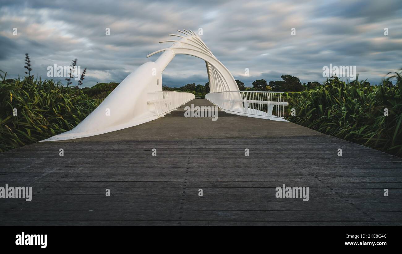 A beautiful view of the Te Rewa Rewa bridge in New Plymouth, New ...