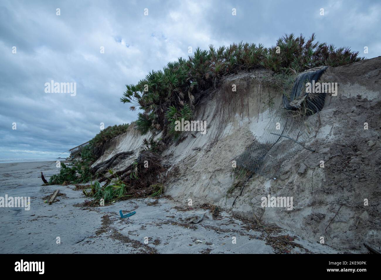 Beach after hurricane nicole hi-res stock photography and images - Alamy