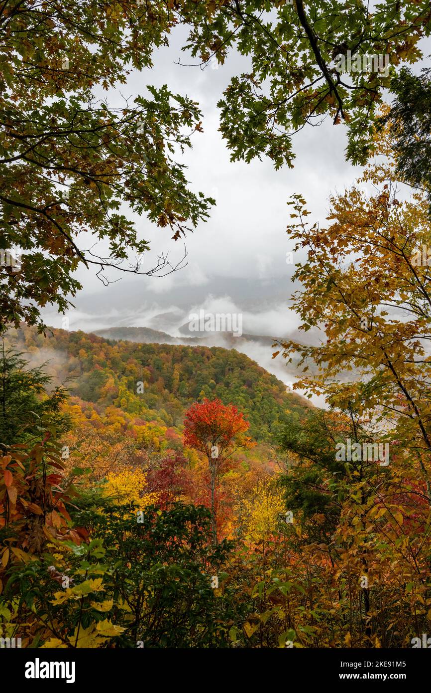 Peeking through Fall Colors to a Valley with Trees and Fog off the Blue ...