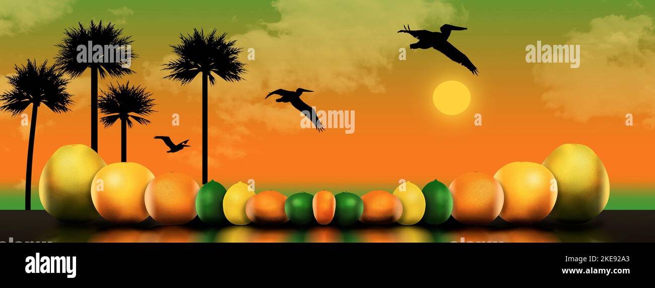 Eight popular citrus fruits are pictured in a 3D illustration. Pelicans ...