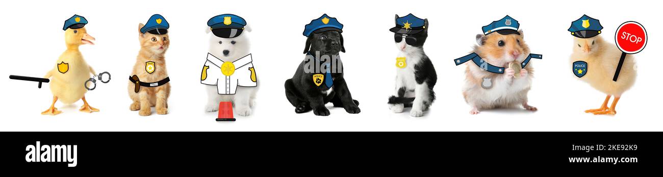 Cute animals dressed as police officers on white background Stock Photo ...