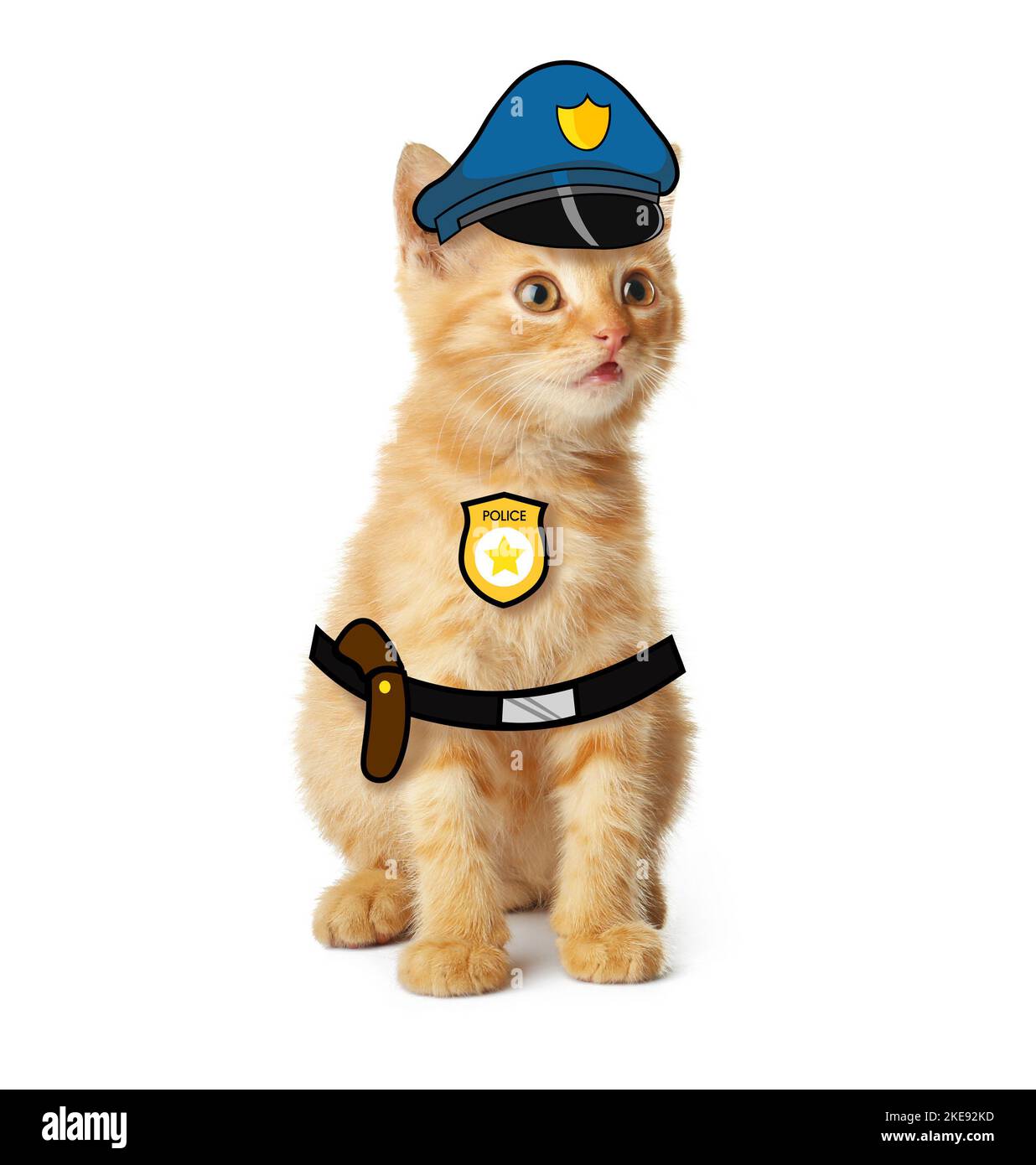 Cute kitten dressed as police officer on white background Stock Photo ...