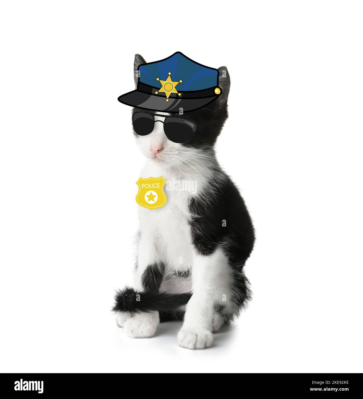 Cute kitten dressed as police officer on white background Stock Photo ...