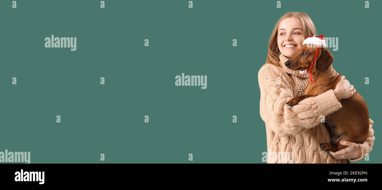 Young woman holding dachshund dog in Santa hat on green background with ...