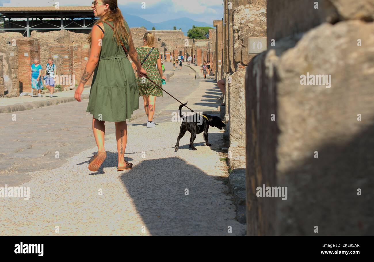 Black dog in the streets of Pompeii Stock Photo - Alamy