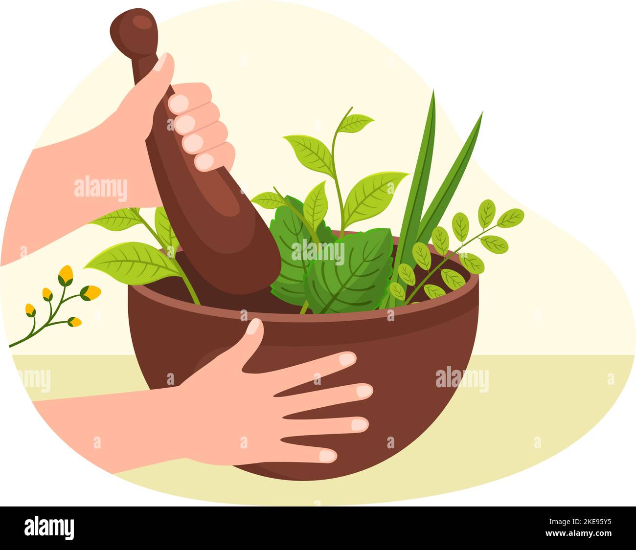 Alternative Medicine or Herbal Cure of Energy Therapies with Ginseng ...