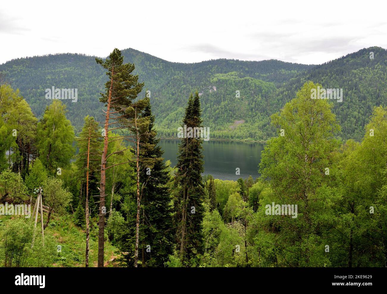 View through the crowns of trees to a beautiful lake at the foot of ...