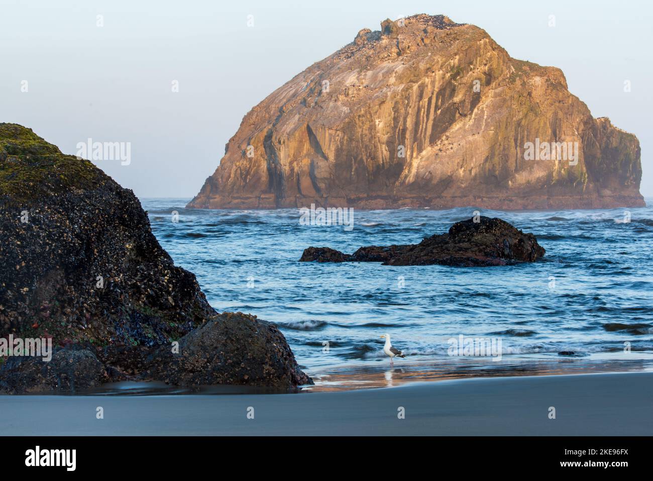 Face Rock at Bandon, Oregon Stock Photo - Alamy