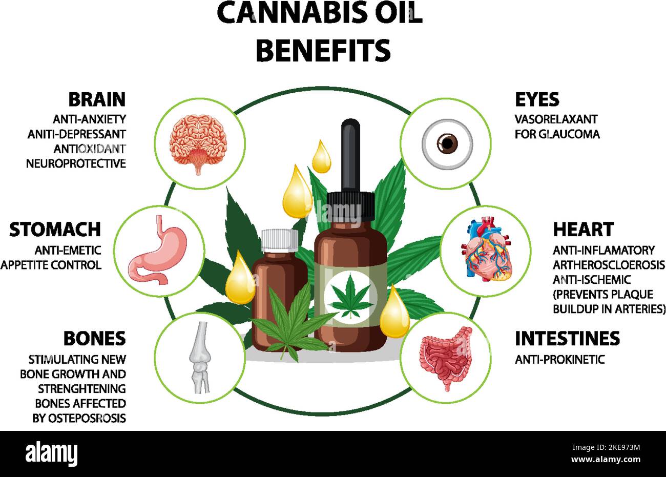 Benefits of CBD for physical health diagram illustration Stock Vector ...