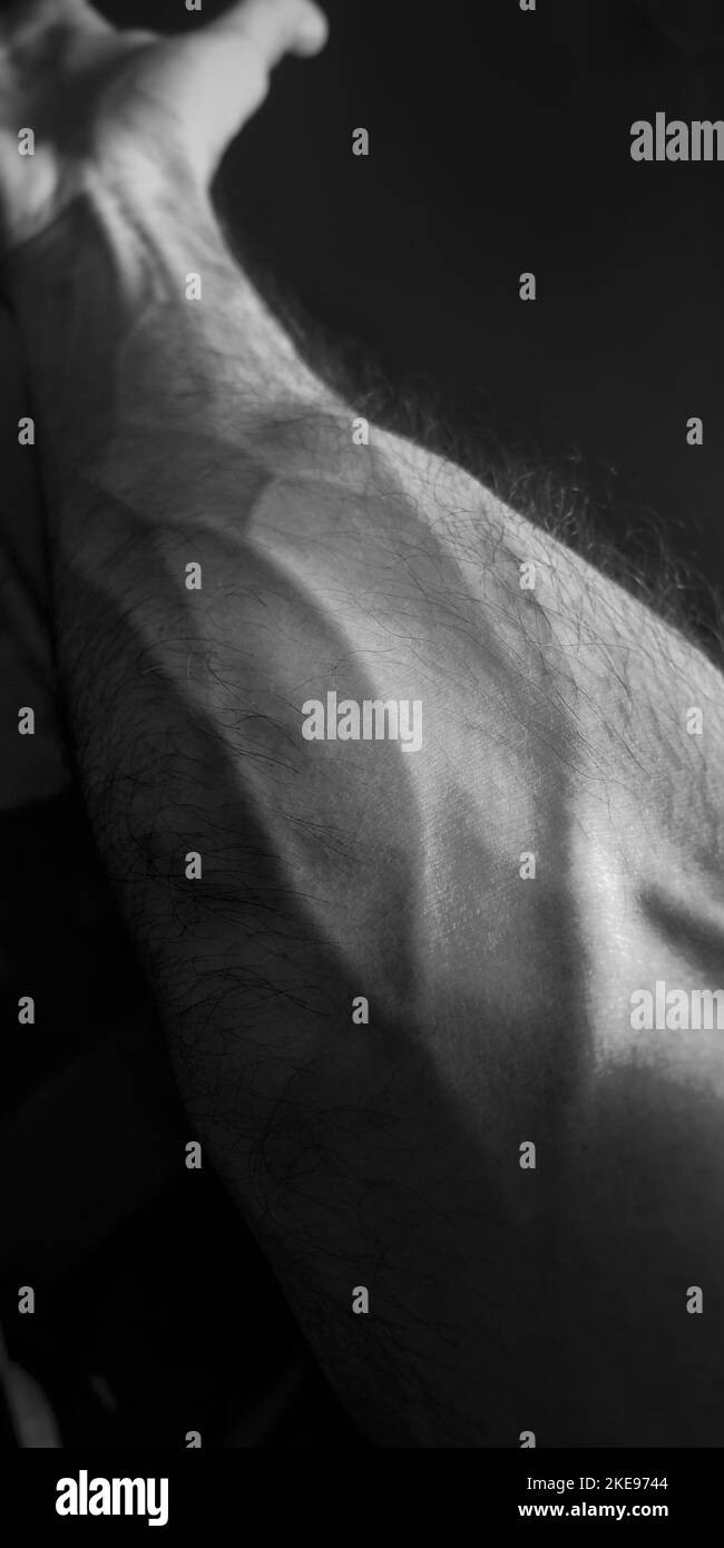A grayscale of a male arm with blood veins Stock Photo - Alamy
