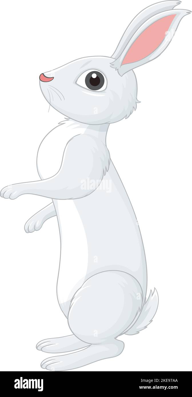 White rabbit cartoon character illustration Stock Vector Image & Art ...