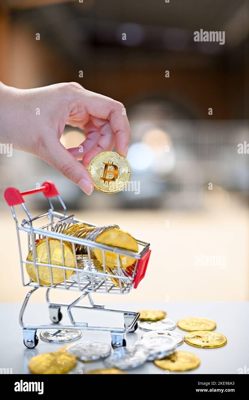 A female hand holding a golden bitcoin, silver and golden bitcoins in ...