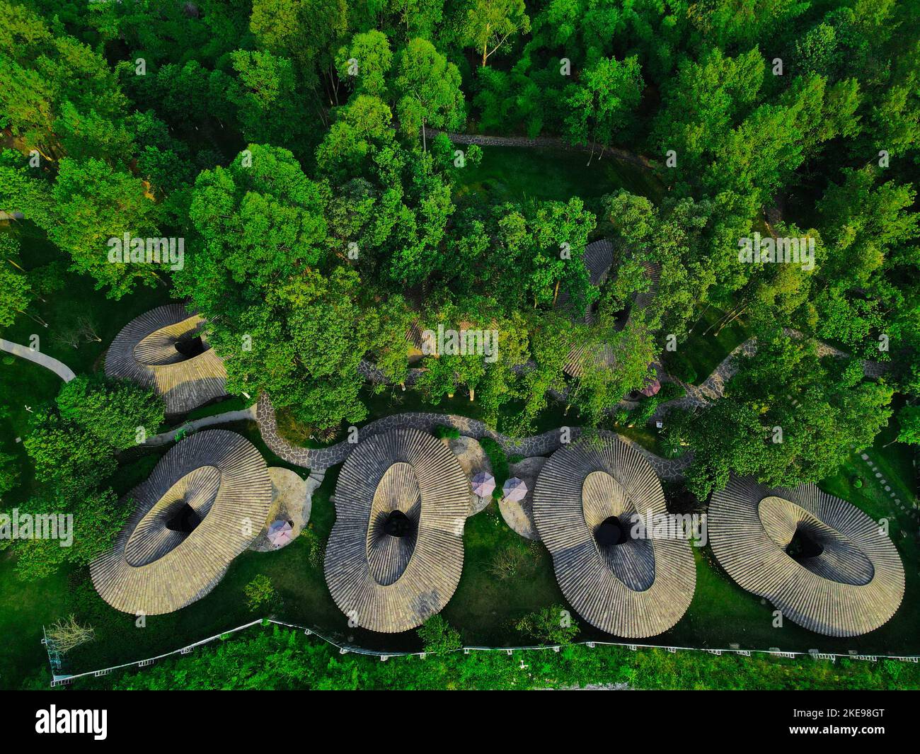 Aerial photos show a homestay hidden in the bamboo forest, which looks ...