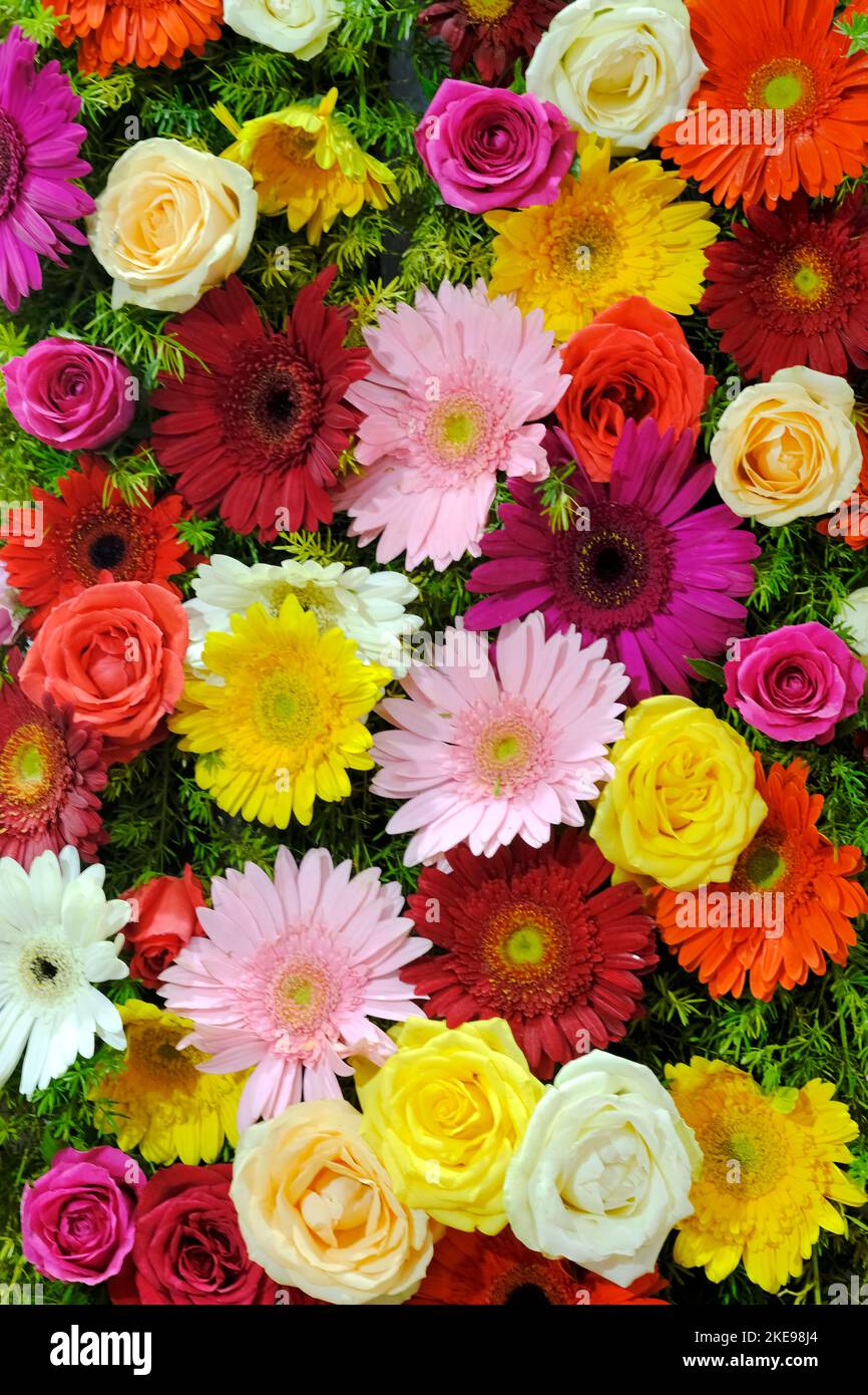 Beautiful flowers as background, delicate blooming flowers festive ...
