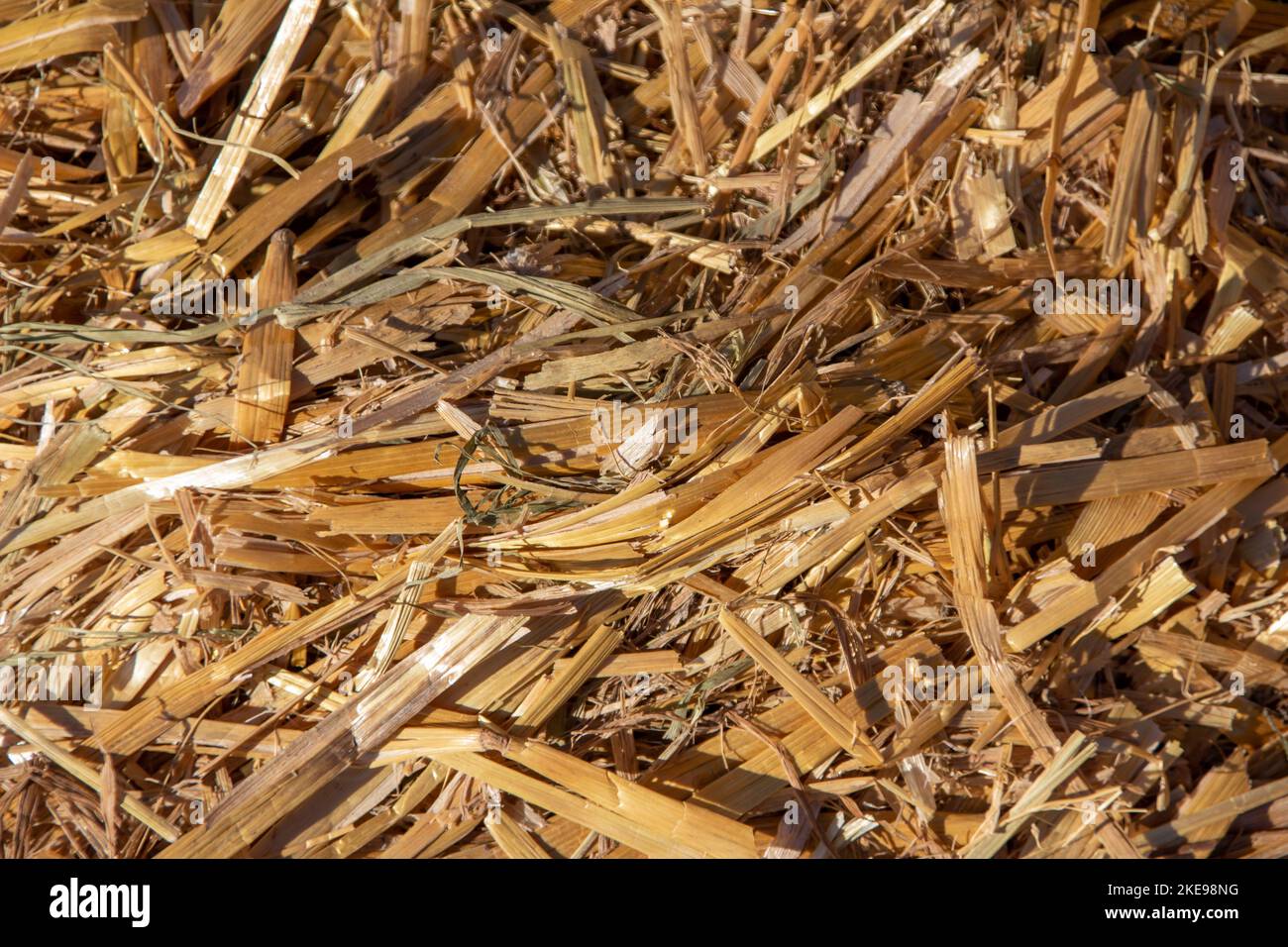 Full frame abstract texture background of golden color dry straw bale ...