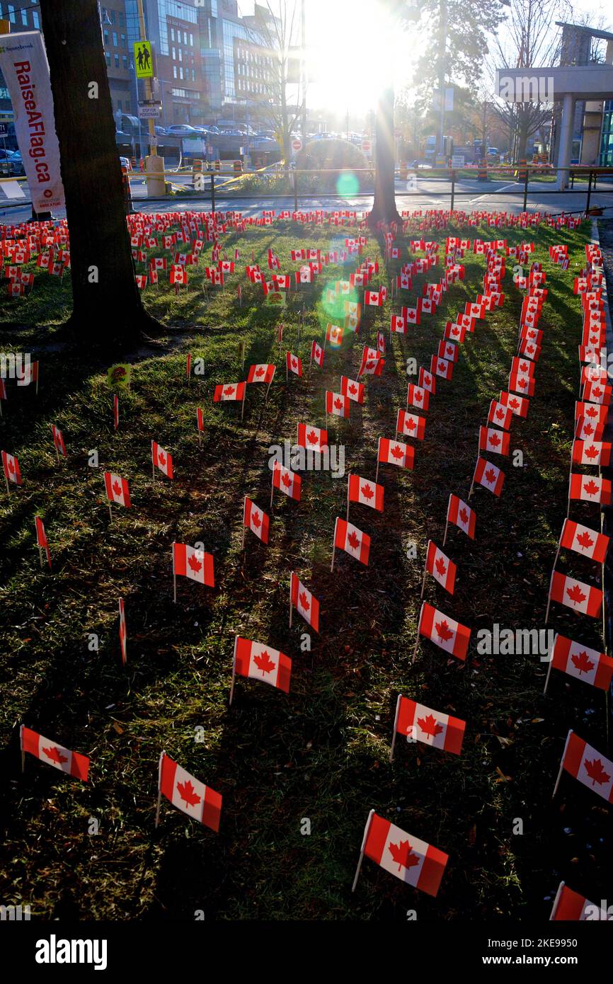 Sunset on a sea of flags with lens flare Stock Photo - Alamy