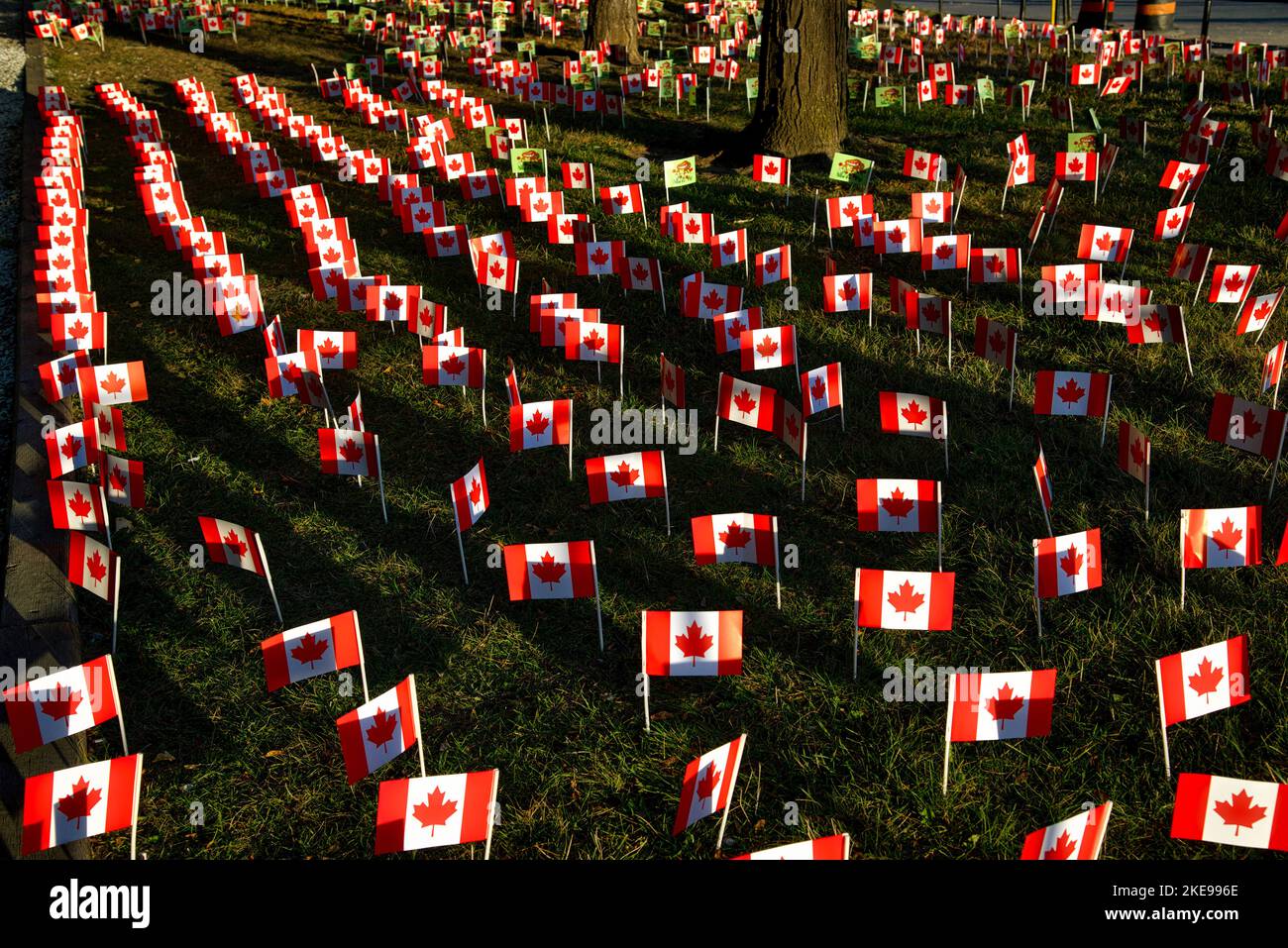 Diminishing perspective view of the sea of flags to pay tribute to the ...