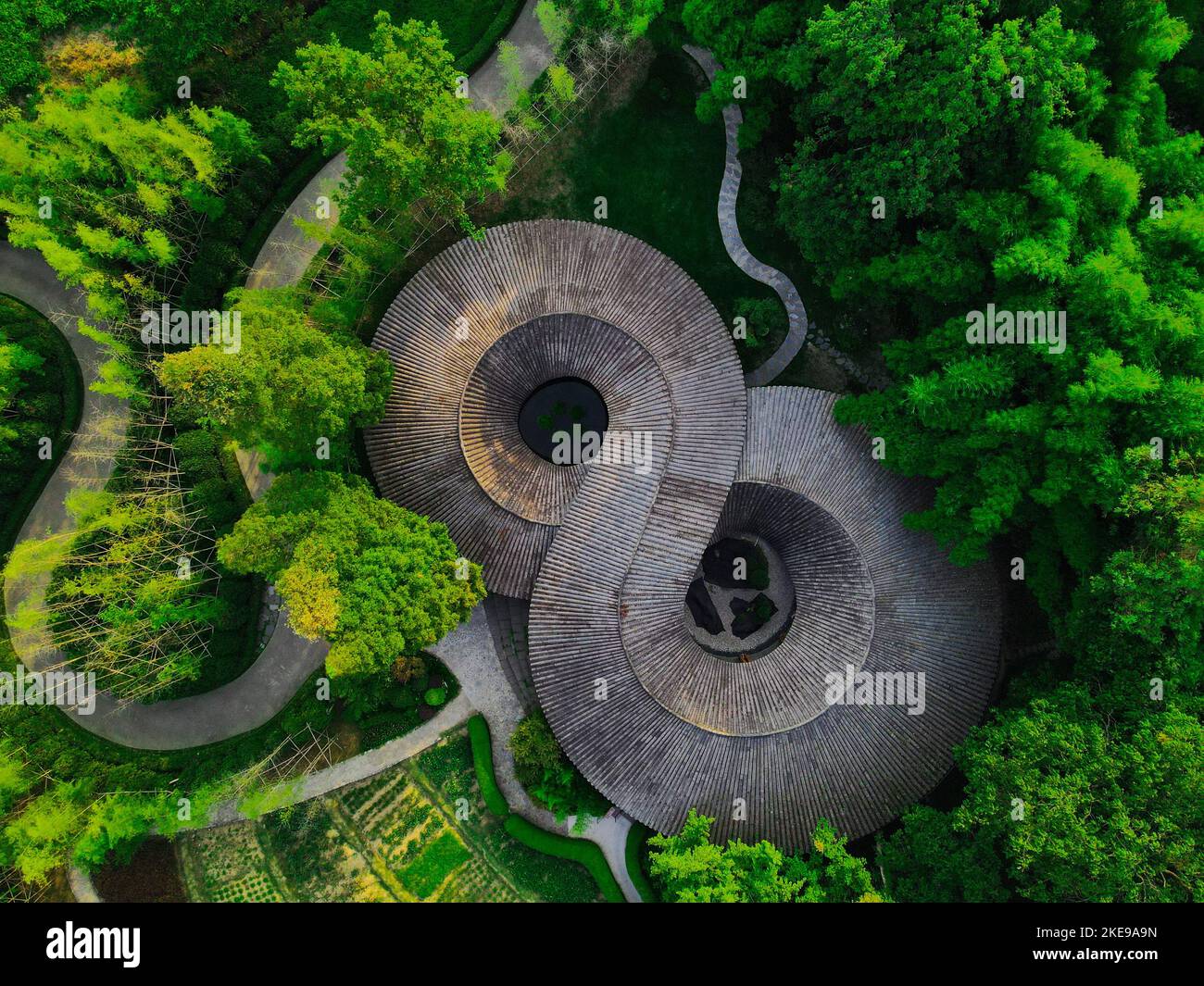 Aerial photos show a homestay hidden in the bamboo forest, which looks ...