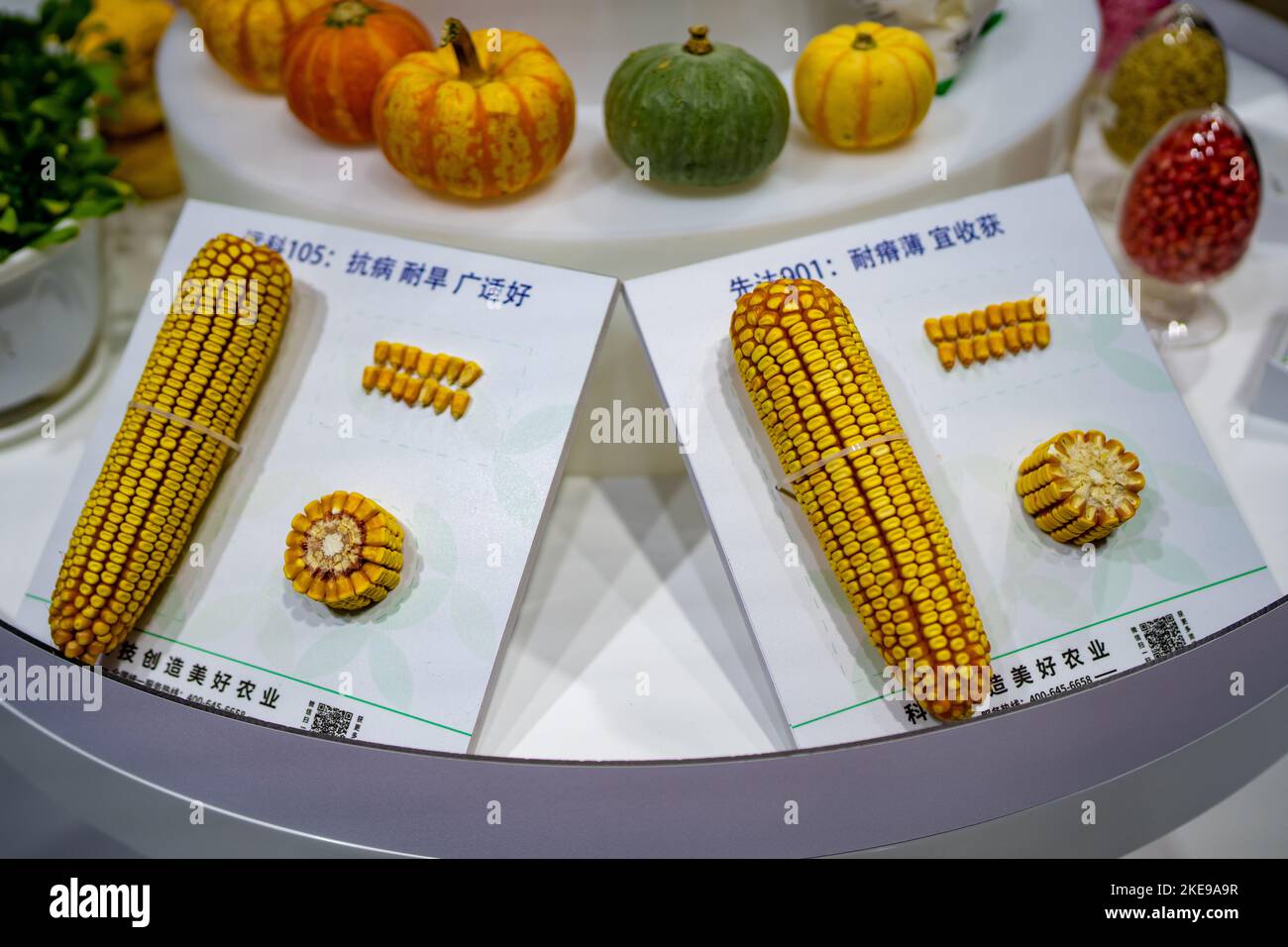 Bayer booth in Crop Seed Area at the 2022 China International Import ...