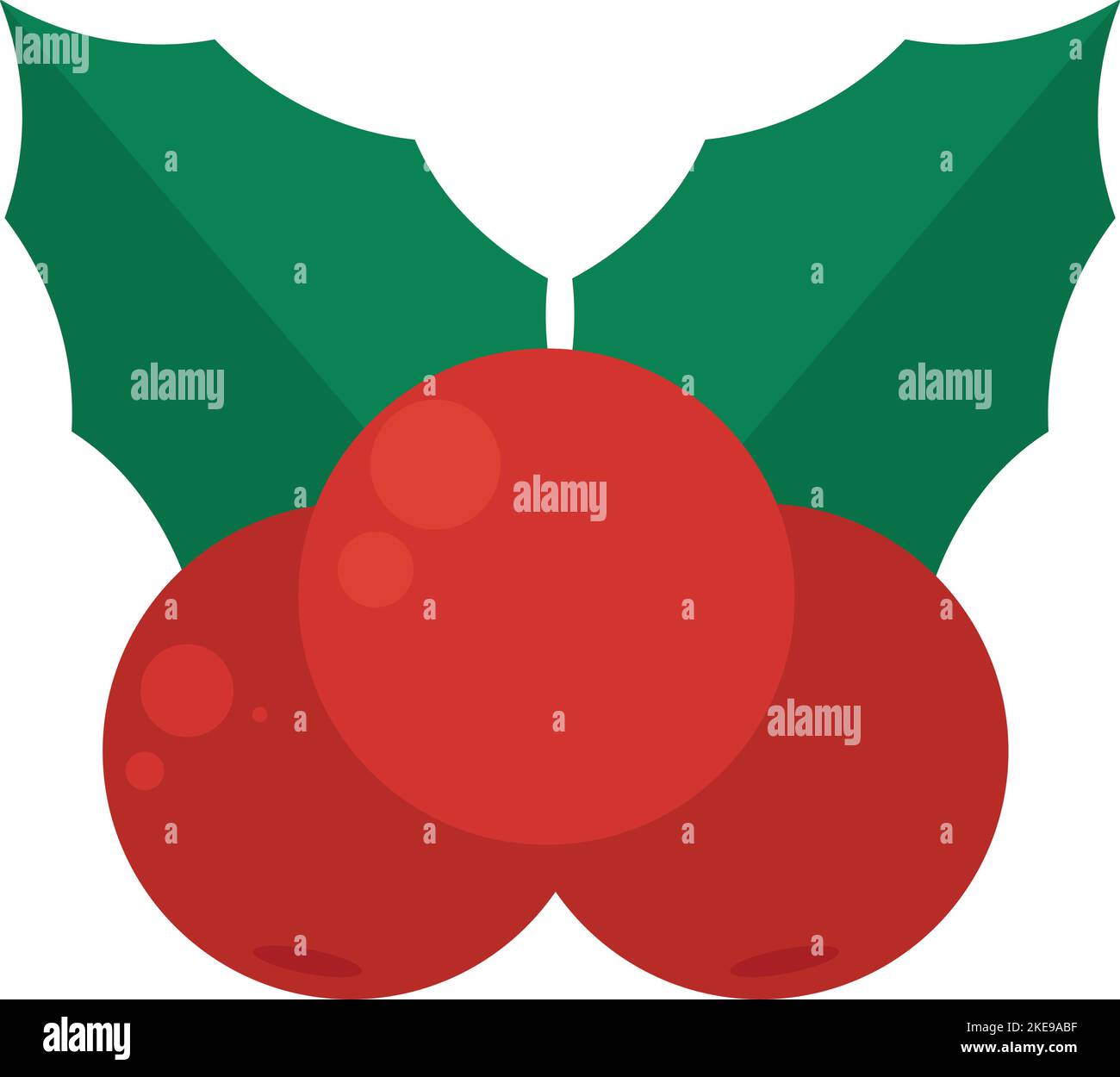 christmas mistletoe icon Stock Vector Image & Art - Alamy