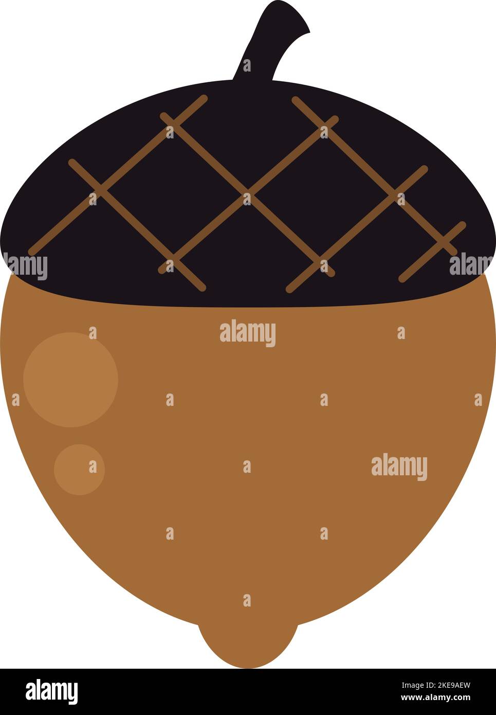 acorn icon image Stock Vector Image & Art - Alamy