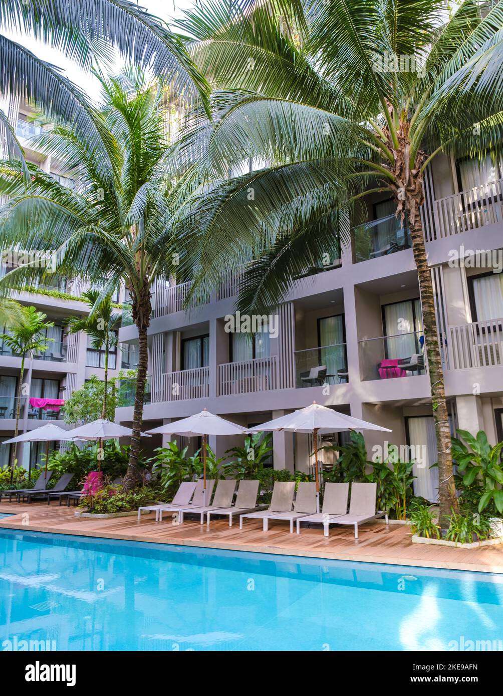 Phuket Thailand November 2022, Luxury condo resort with palm trees and ...
