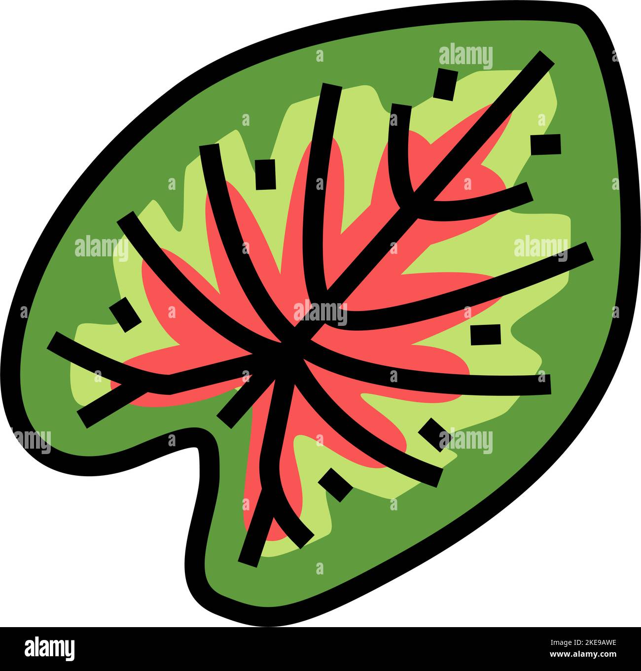 caladium tropical leaf color icon vector illustration Stock Vector ...