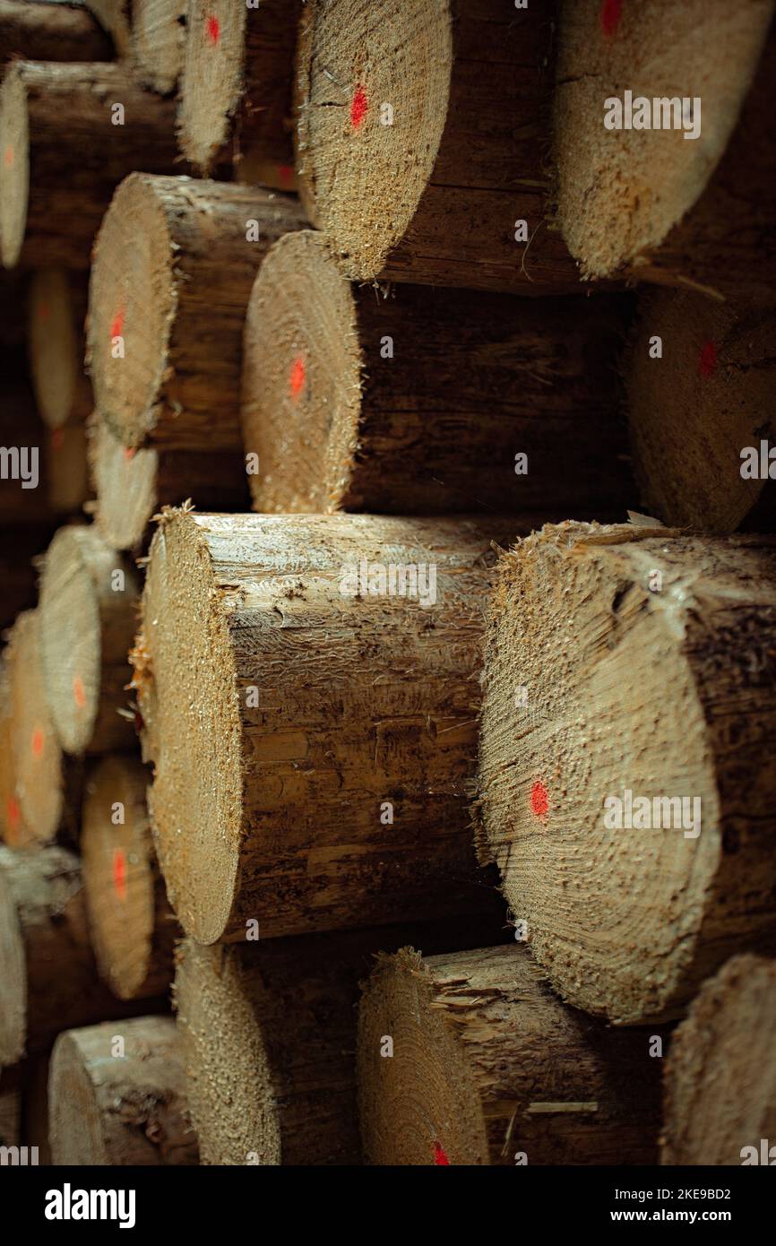 A vertical closeup of wooden logs on a stack marked with red dots Stock ...