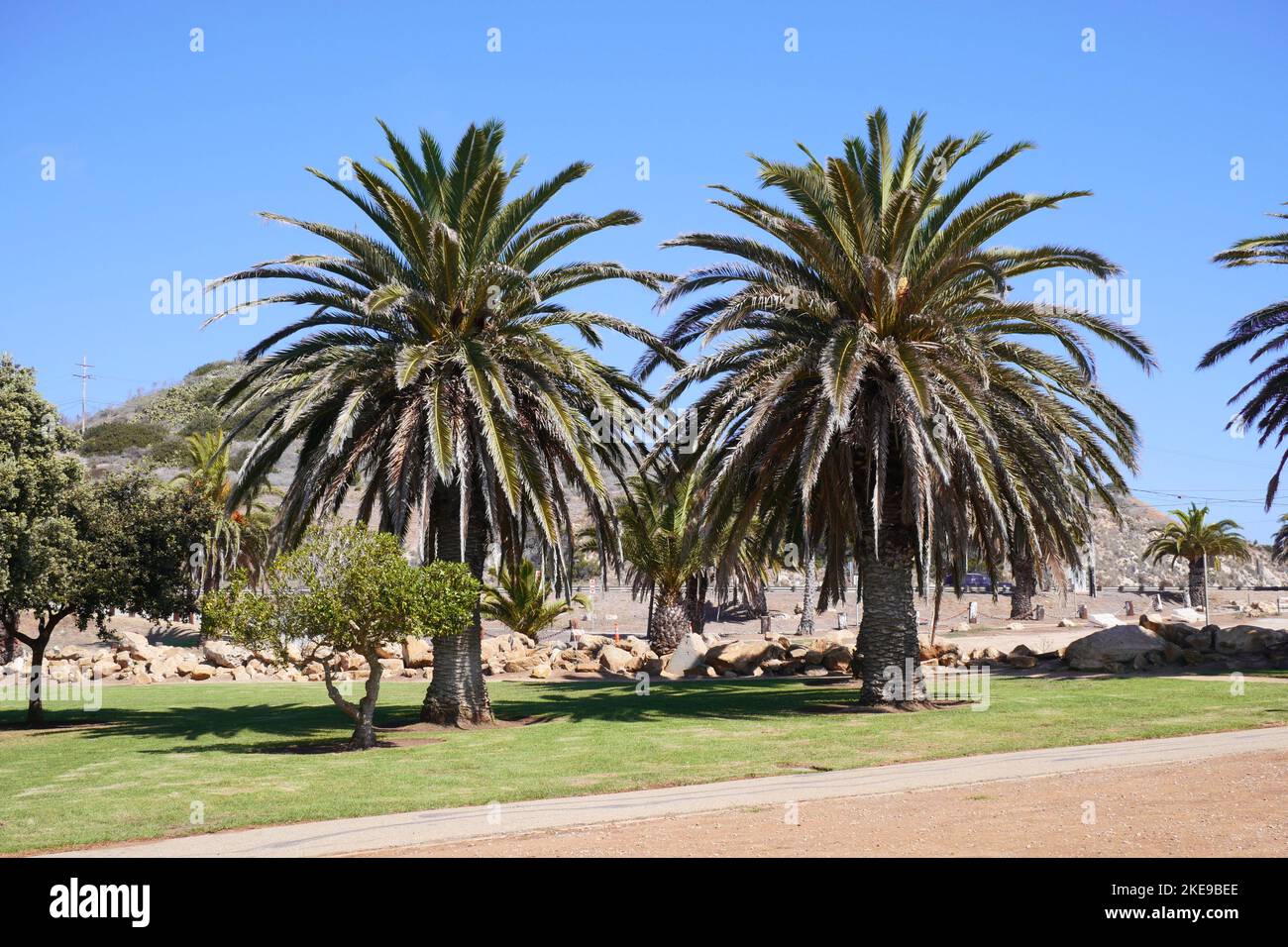 Point Vincente Beach Walk in Rancho Palos Verdes, California, USA Stock ...