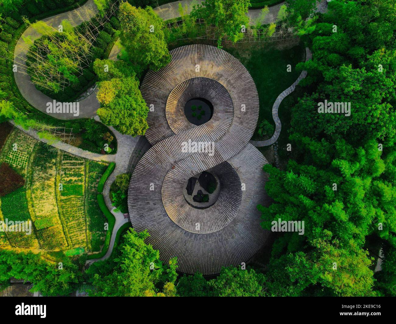 Aerial photos show a homestay hidden in the bamboo forest, which looks ...